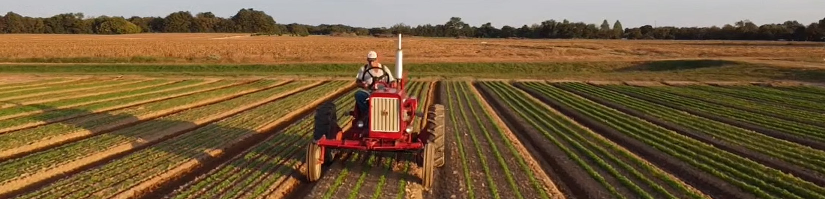 Our Team - Nardelli Brothers | Nardelli Lake View Farms